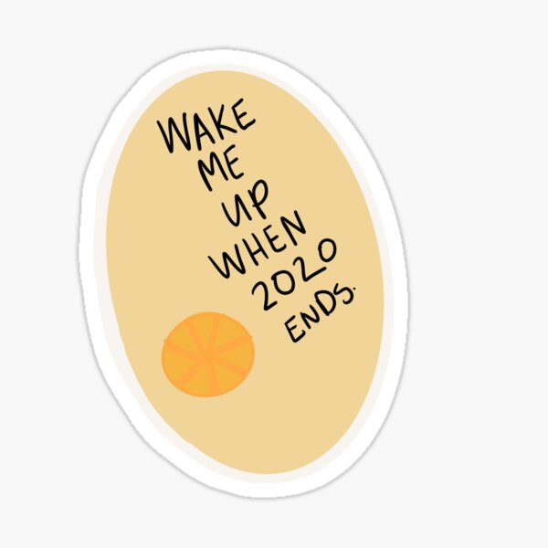 "2020 sticker" Sticker by milosadventure | Redbubble
