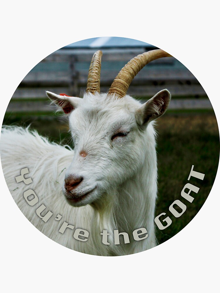 "You're the GOAT sticker" Sticker for Sale by nredkar | Redbubble