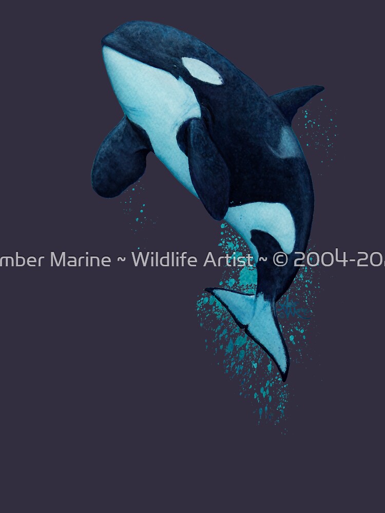 ""The Matriarch" by Amber Marine ~ killer whale / orca watercolor ...