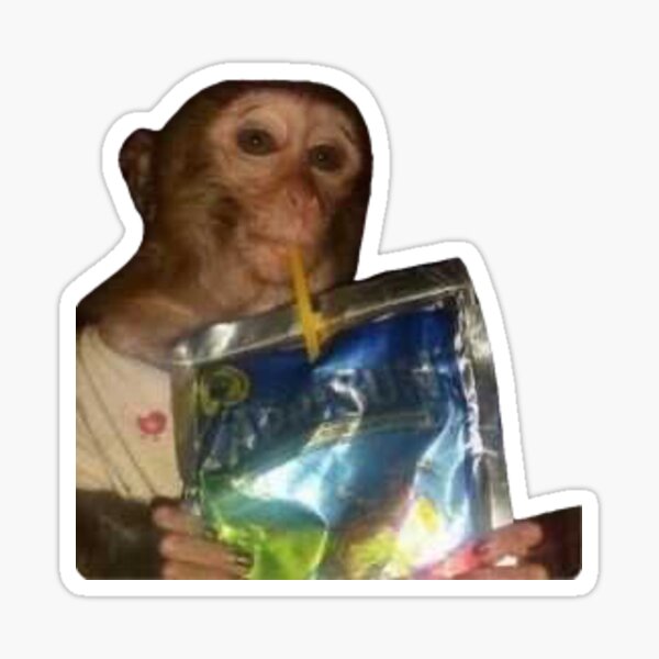 "monkey" Sticker for Sale by maddyniedbala | Redbubble