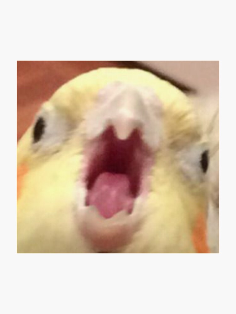 "ah" Sticker by bamiesbamboo | Redbubble