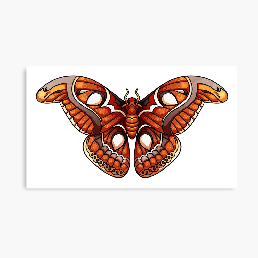 Neon Atlas moth original painting Painting Art & Collectibles Acrylic ...