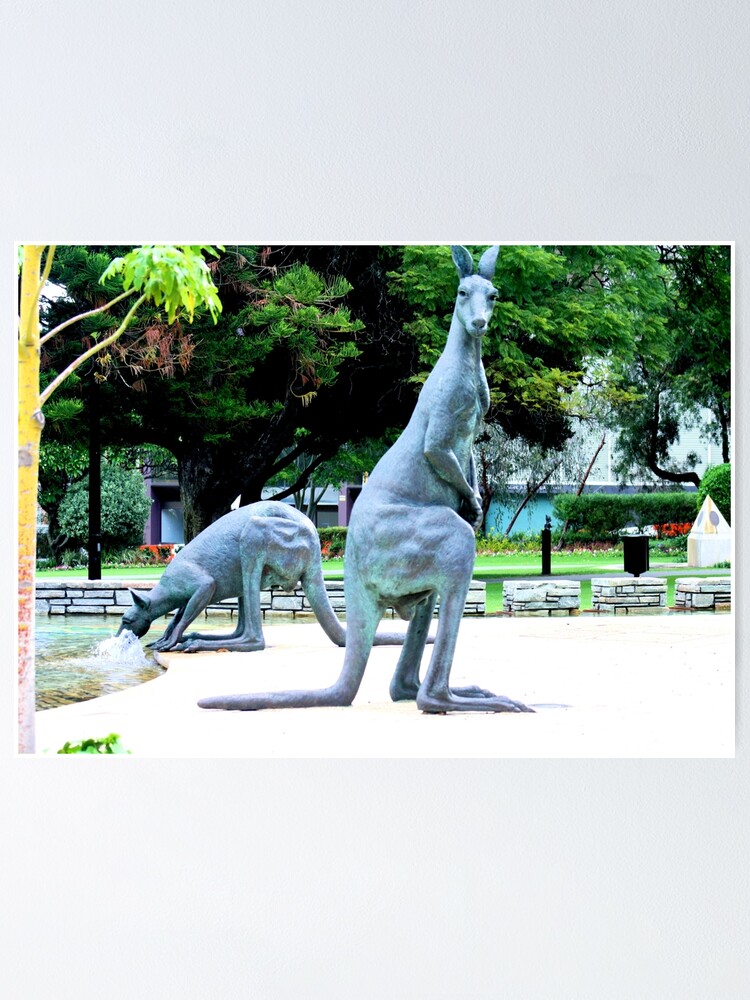 "Two Bronze Kangaroo statues Perth Australia" Poster for Sale by TeAnne ...