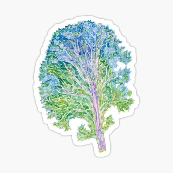 "Kale" Sticker for Sale by beccaboyce | Redbubble