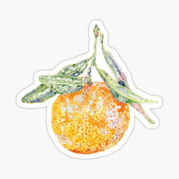 "Clementine" Sticker by beccaboyce | Redbubble