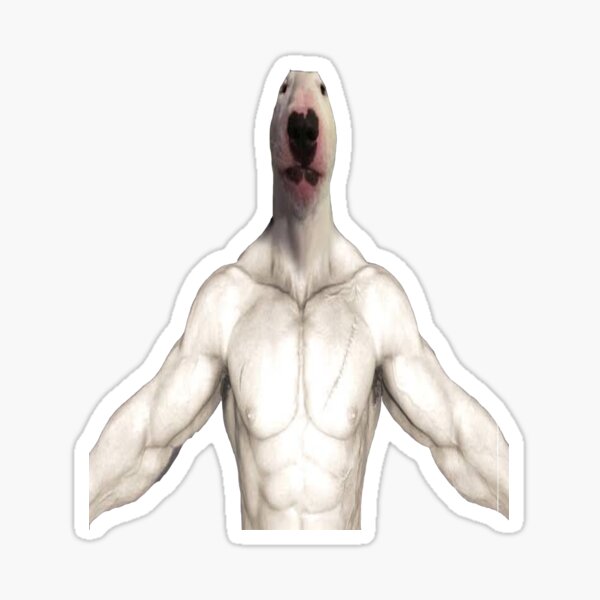 Buff Dog Stickers | Redbubble