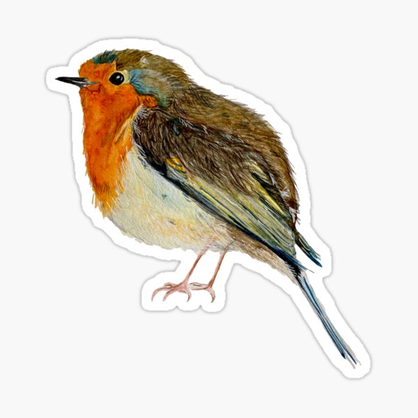 "Robin" Sticker by chloeklbennett | Redbubble