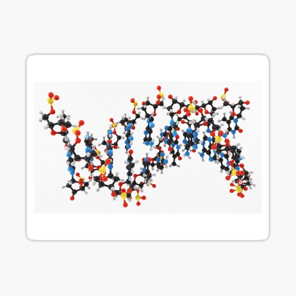"DNA" Sticker for Sale by MDeAngelis | Redbubble