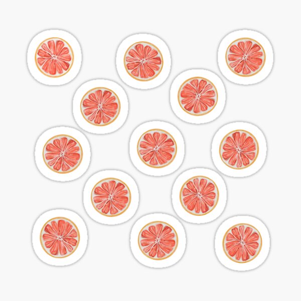 "Watercolor orange pack" Sticker by lisaedlund | Redbubble