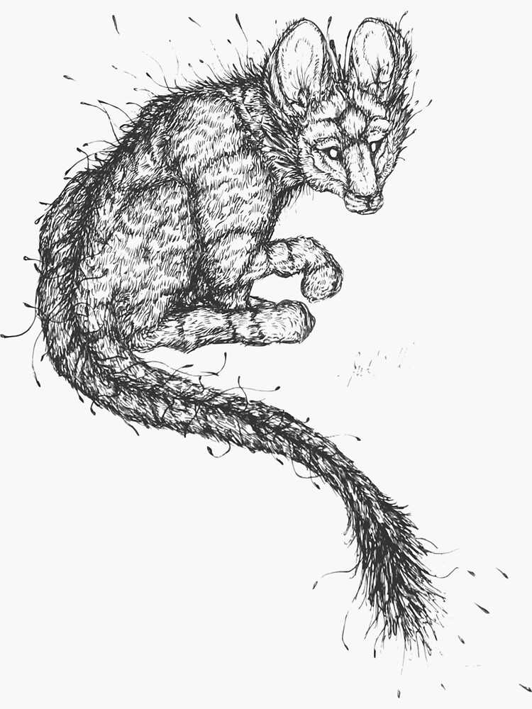 "Peacock Mouse" Sticker by DrowningAlfalfa | Redbubble