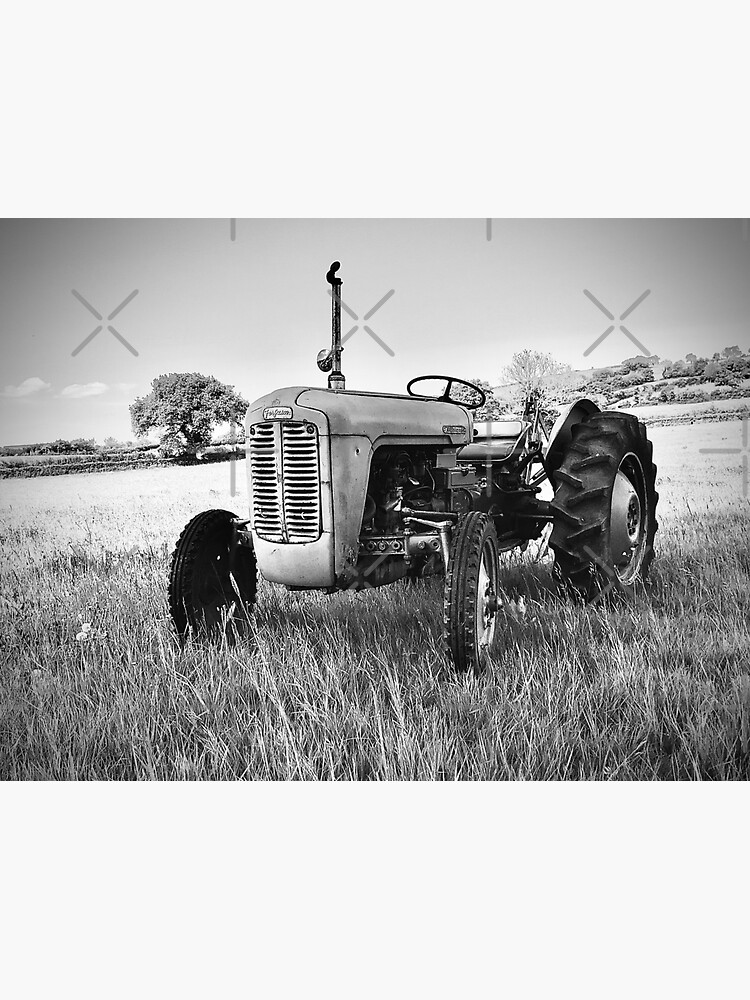 "1956 Ferguson FE35 Grey Gold" Sticker for Sale by broady77 | Redbubble