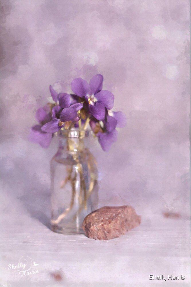 "Purple Violets Still Life" by Shelly Harris | Redbubble