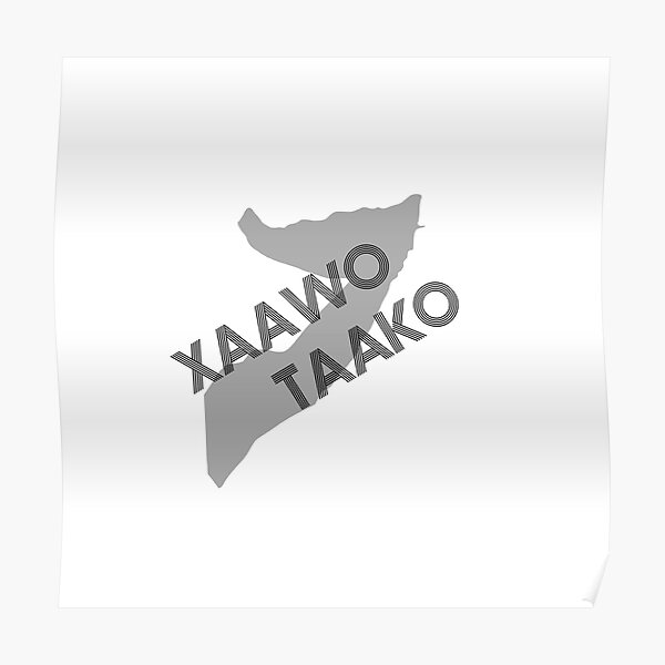 Somali Flag Posters | Redbubble