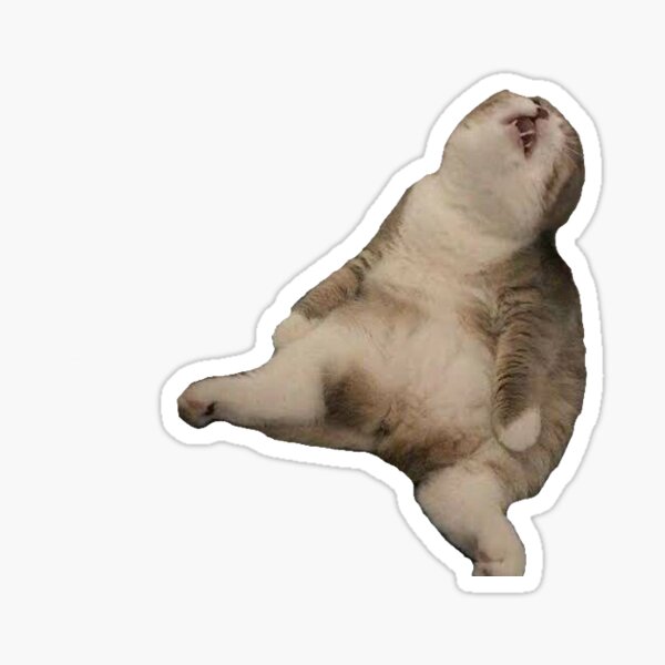 "Tired cat meme Sticker" Sticker by pr1sc1la | Redbubble