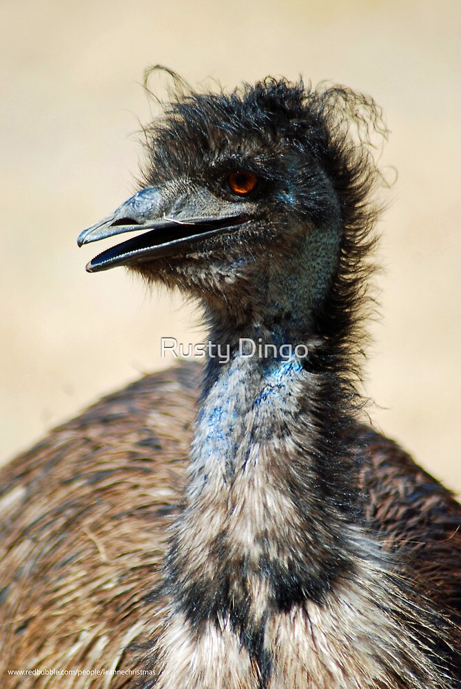 "Muckleford Emmu" by Rusty Dingo | Redbubble