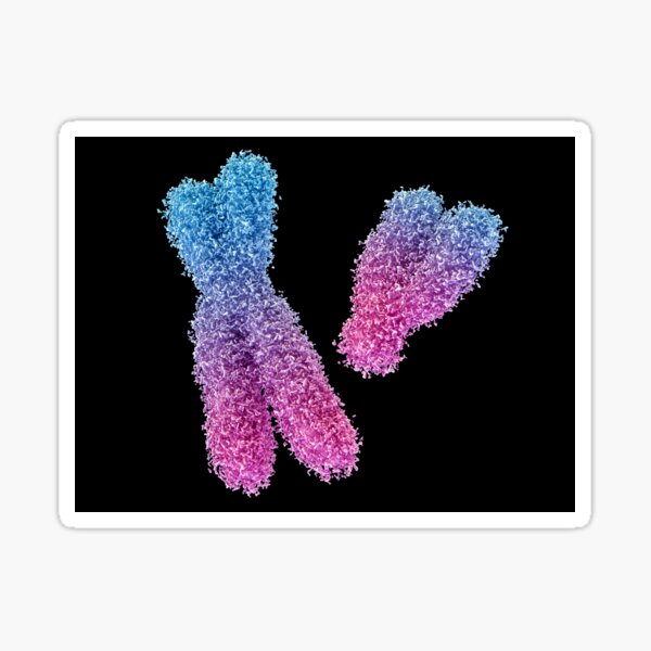 "Chromosome" Sticker for Sale by MDeAngelis | Redbubble
