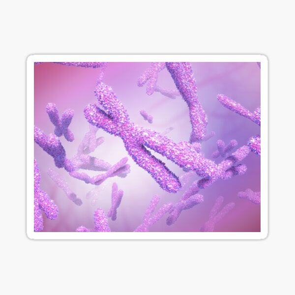 "Chromosome" Sticker for Sale by MDeAngelis | Redbubble