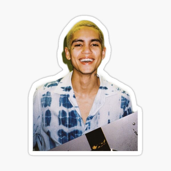 Dominic Fike Stickers | Redbubble