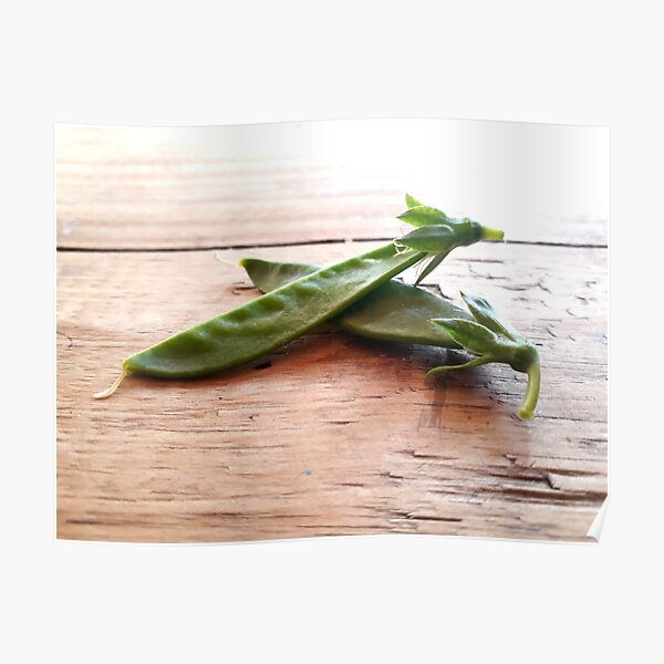 "More Than Two Peas in a Pod" Poster by TerryArts | Redbubble