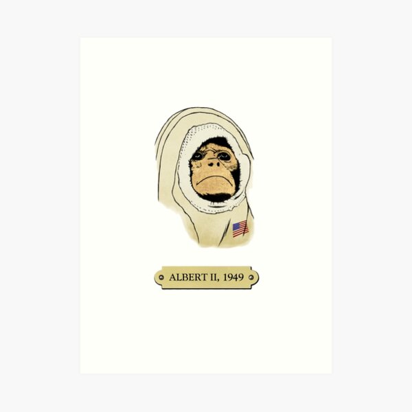 "Albert II: The first monkey in space" Art Print for Sale by ...