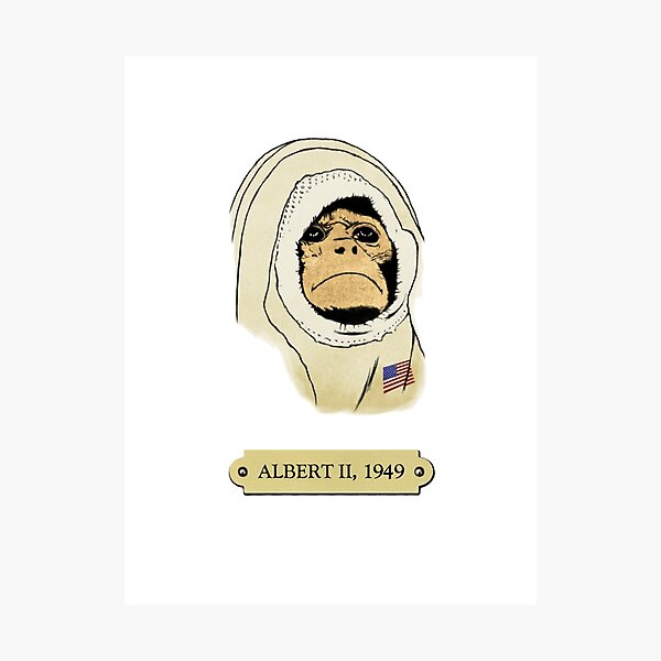 Famous Firsts: Animals Making History: Albert II: 1st