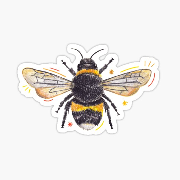 "Bumble Bee" Sticker for Sale by meganmxe | Redbubble