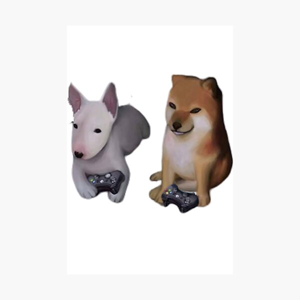 Lámina fotográfica «Walter The Dog And Cheems Chiba Inu Play Camisetas ...