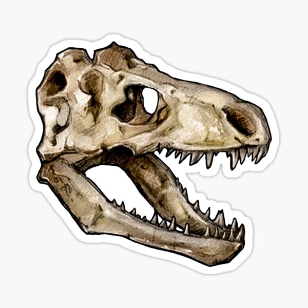 "Dinosaur Skull Tyrannosaurus Rex Sticker" Sticker for Sale by CassWArt ...