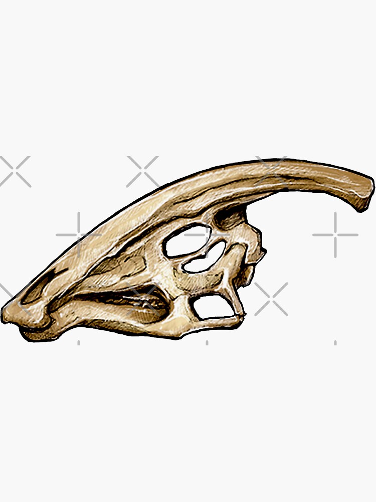 "Dinosaur Skull Parasaurolophus Sticker" Sticker for Sale by CassWArt ...