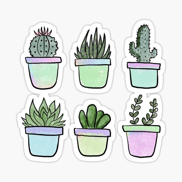"Cactus" Sticker for Sale by sumudubc | Redbubble
