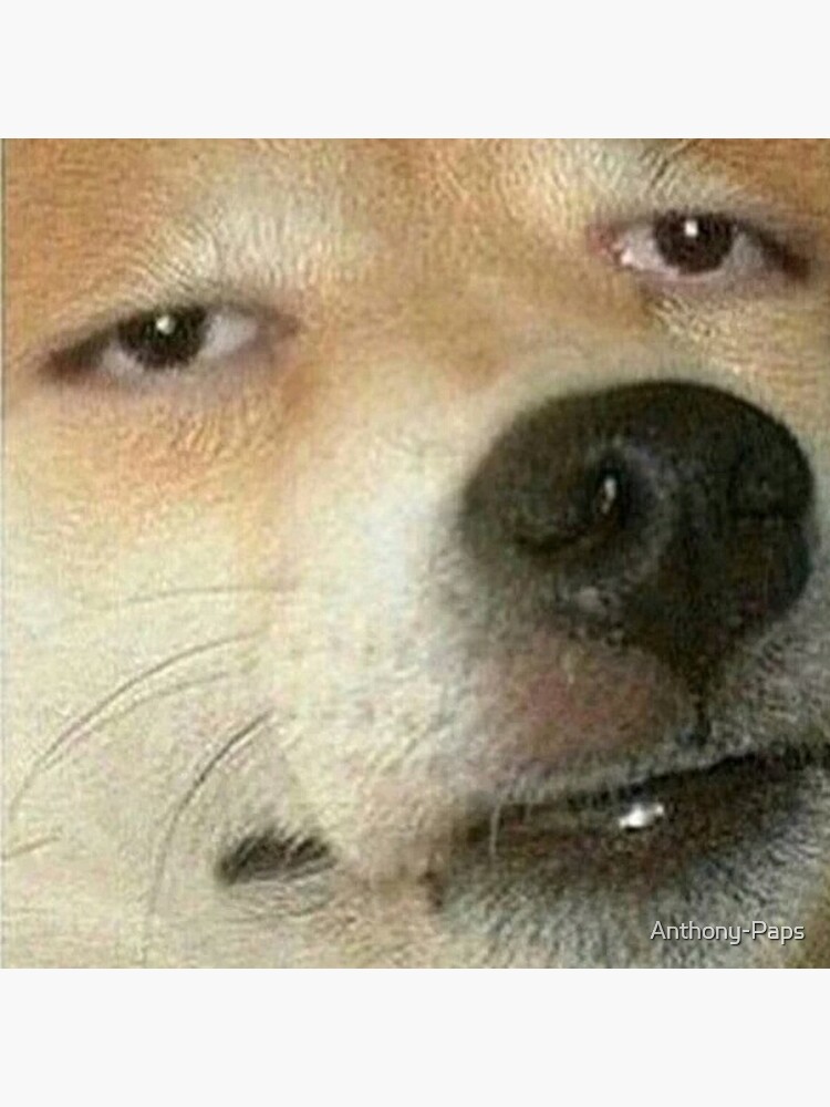 Dank Dog Memes Can I Pet That Dog?" No.