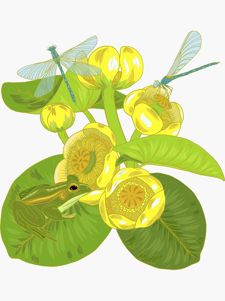 "pond" Sticker for Sale by minyanna | Redbubble