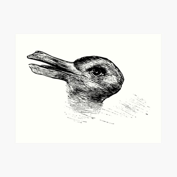 "Vintage Duck Rabbit Illusion Psychology Classic" Art Print by Totally ...