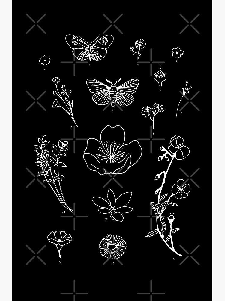 "Handdrawn wildflower & animals chart" Art Print for Sale by ...
