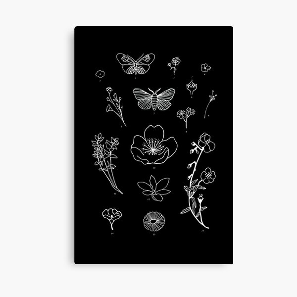 "Handdrawn wildflower & animals chart" Canvas Print by SabIllustration ...