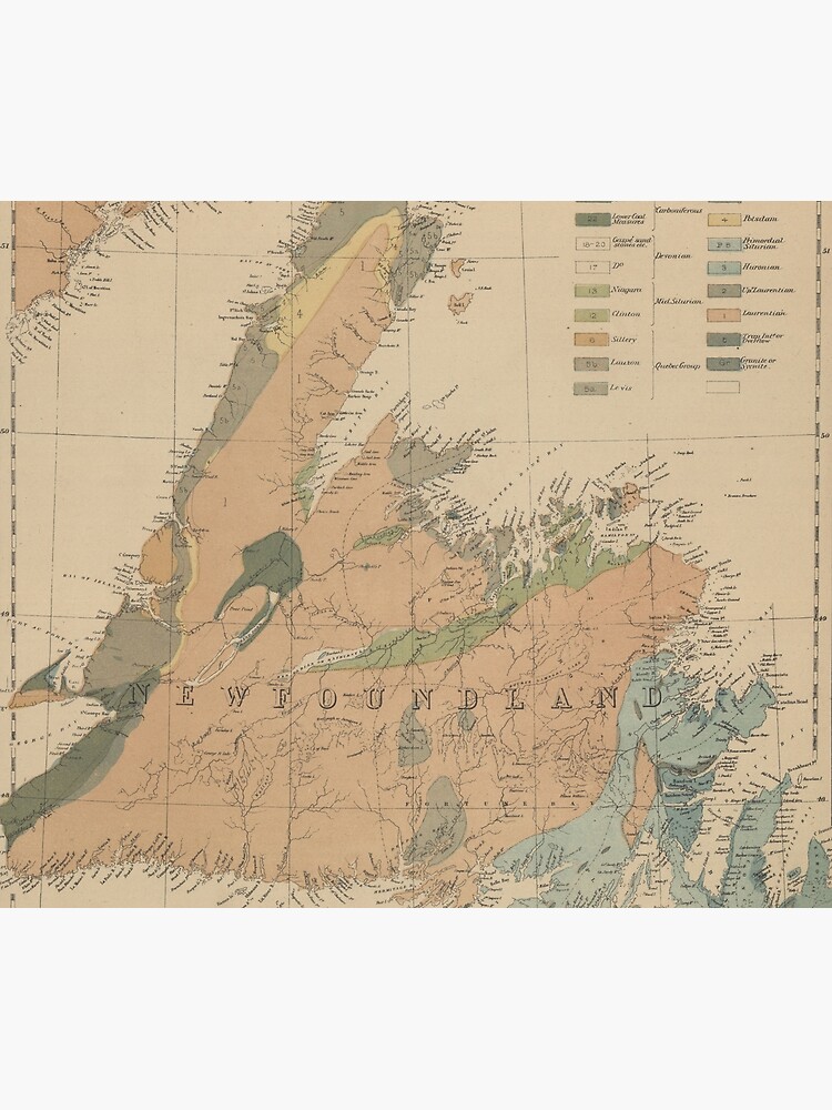 Vintage Geological Map Of Newfoundland (1875) Shower Curtain