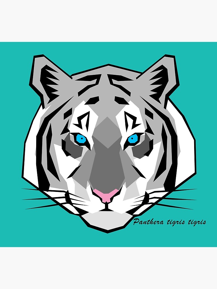 "White Tiger Geometric Art with Teal Background and Scientific Name ...