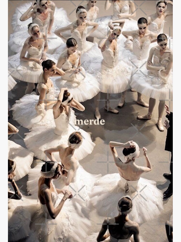 "Ballerina Ballet Dancer Merde Tutu Photo Sticker " Sticker by ...