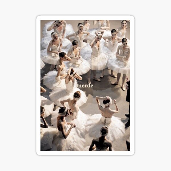 "Ballerina Ballet Dancer Merde Tutu Photo Sticker " Sticker by ...