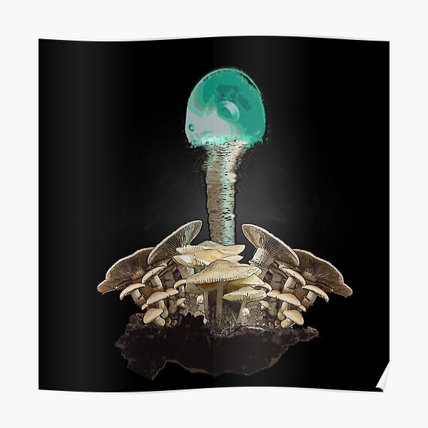 "Shroom" Poster by Warmonster20 | Redbubble