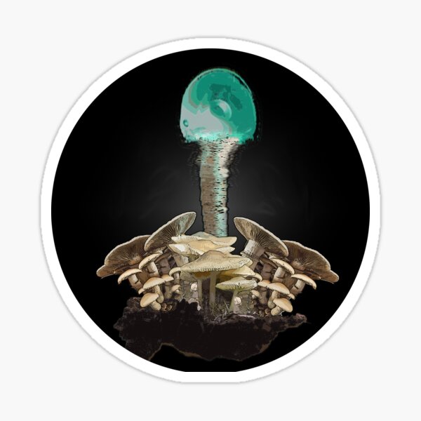 "Shroom" Sticker for Sale by Warmonster20 | Redbubble