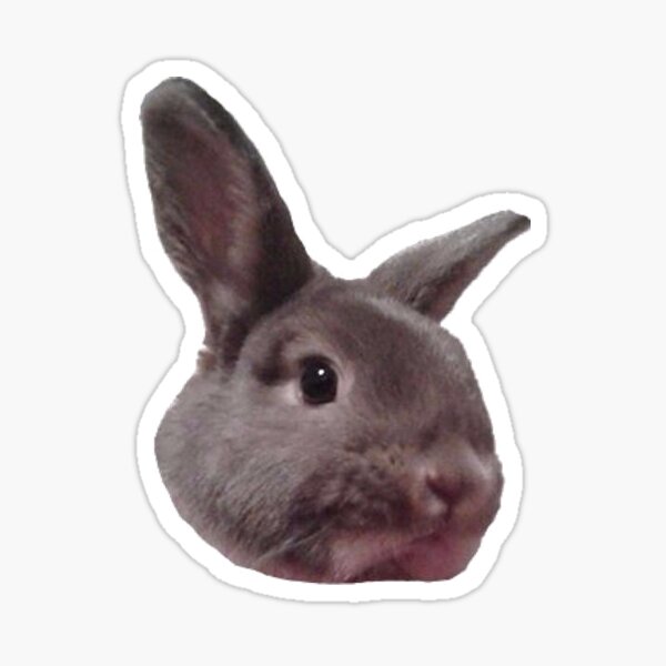 "Cute Bunny Rabbit Sticker - Frisk" Sticker by FriskyBoi | Redbubble