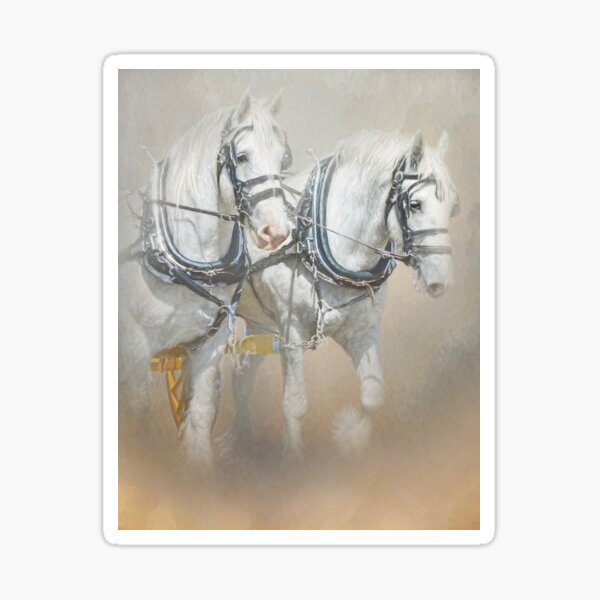 "Percheron" Sticker by PicsByT | Redbubble