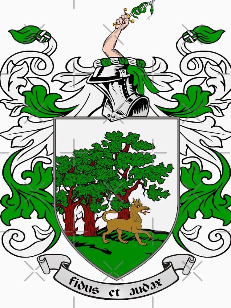 "Callahan Family Crest with Motto" Scarf by callahand97 | Redbubble