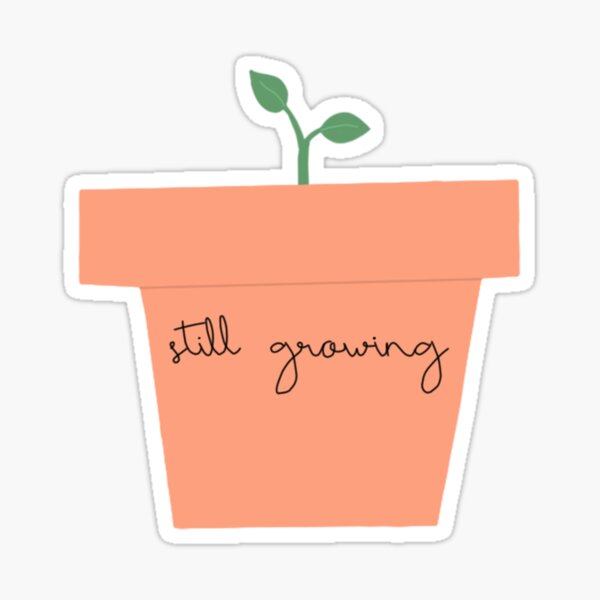 rachelbochner Shop | Redbubble