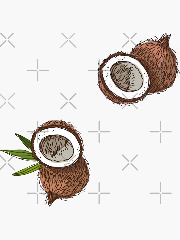 "Coconut sticker pack " Sticker for Sale by alexandraheugly | Redbubble