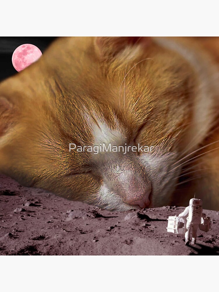 "Catland" Sticker for Sale by ParagiManjrekar | Redbubble