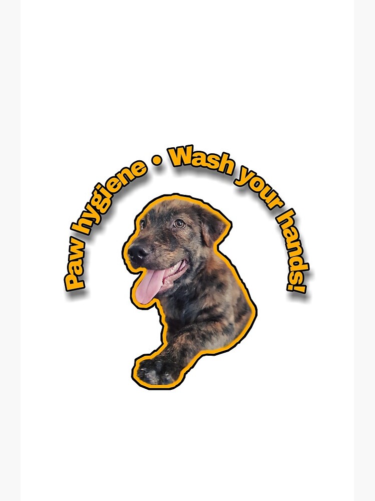 "Paw hygiene • Wash your hands! (Yellow border" Art Print for Sale by ...