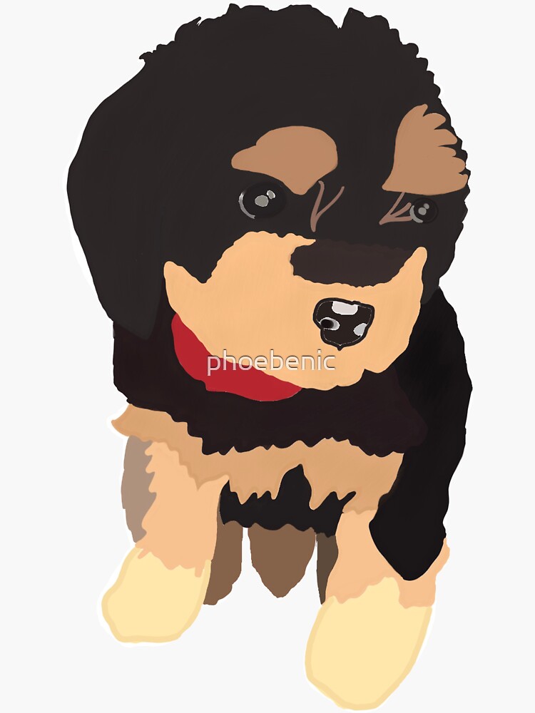 "Cute cavapoo/ cavoodle puppy cartoon" Sticker by phoebenic | Redbubble