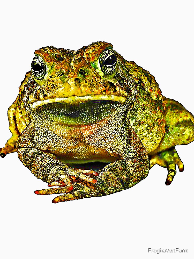 "Grumpy Toad" T-shirt for Sale by FroghavenFarm | Redbubble | fowlers toad t-shirts - toad t ...